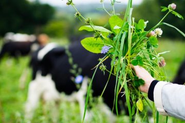 What is Arla Organic Free Range Milk? | The Worktop